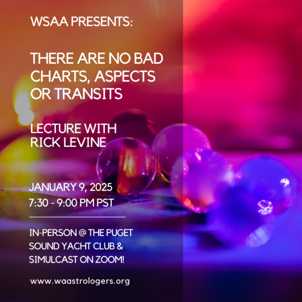 There Are No Bad Charts: Lecture with Rick Levine | Washington State ...